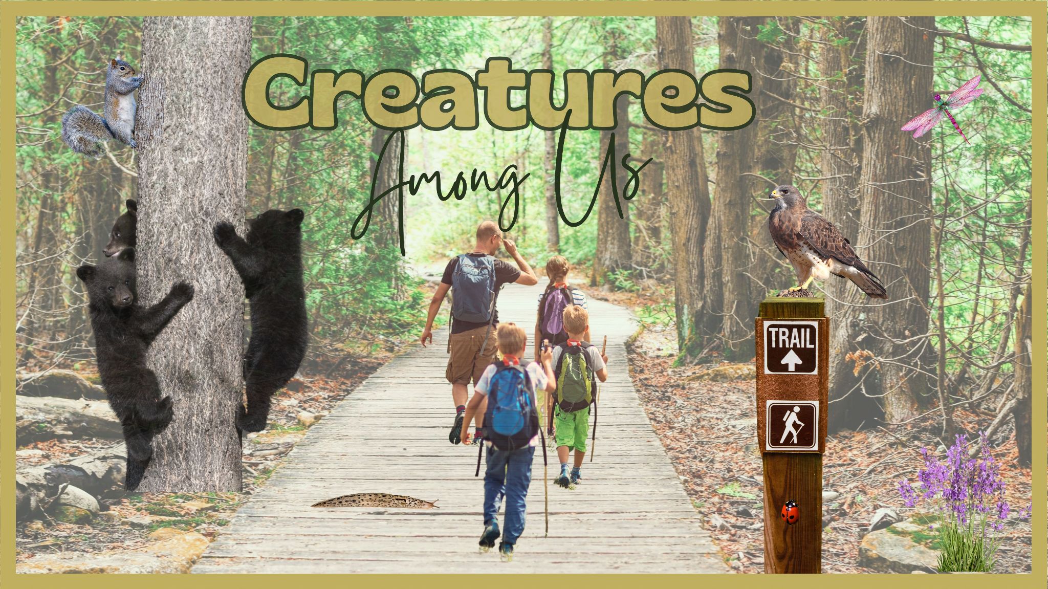 Week 4: Creatures Among Us