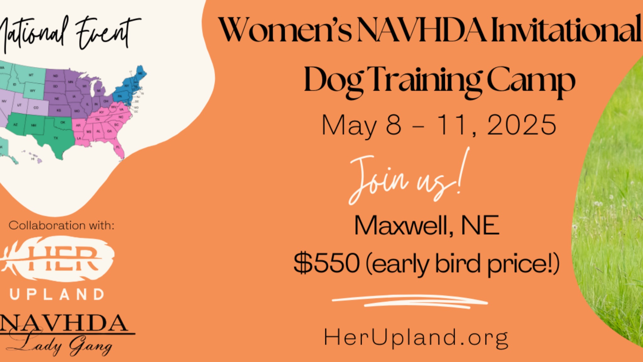 2025 NAVHDA Invitational Dog Training Camp