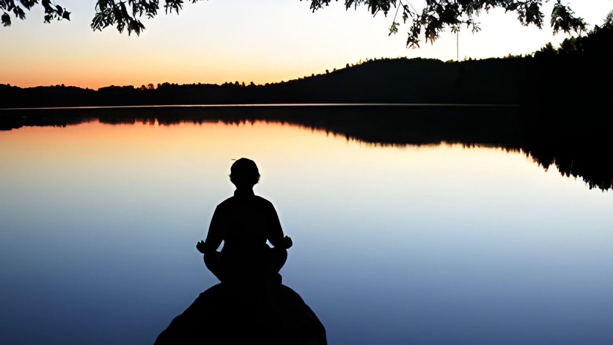 Zen Studies Program with Kyosei