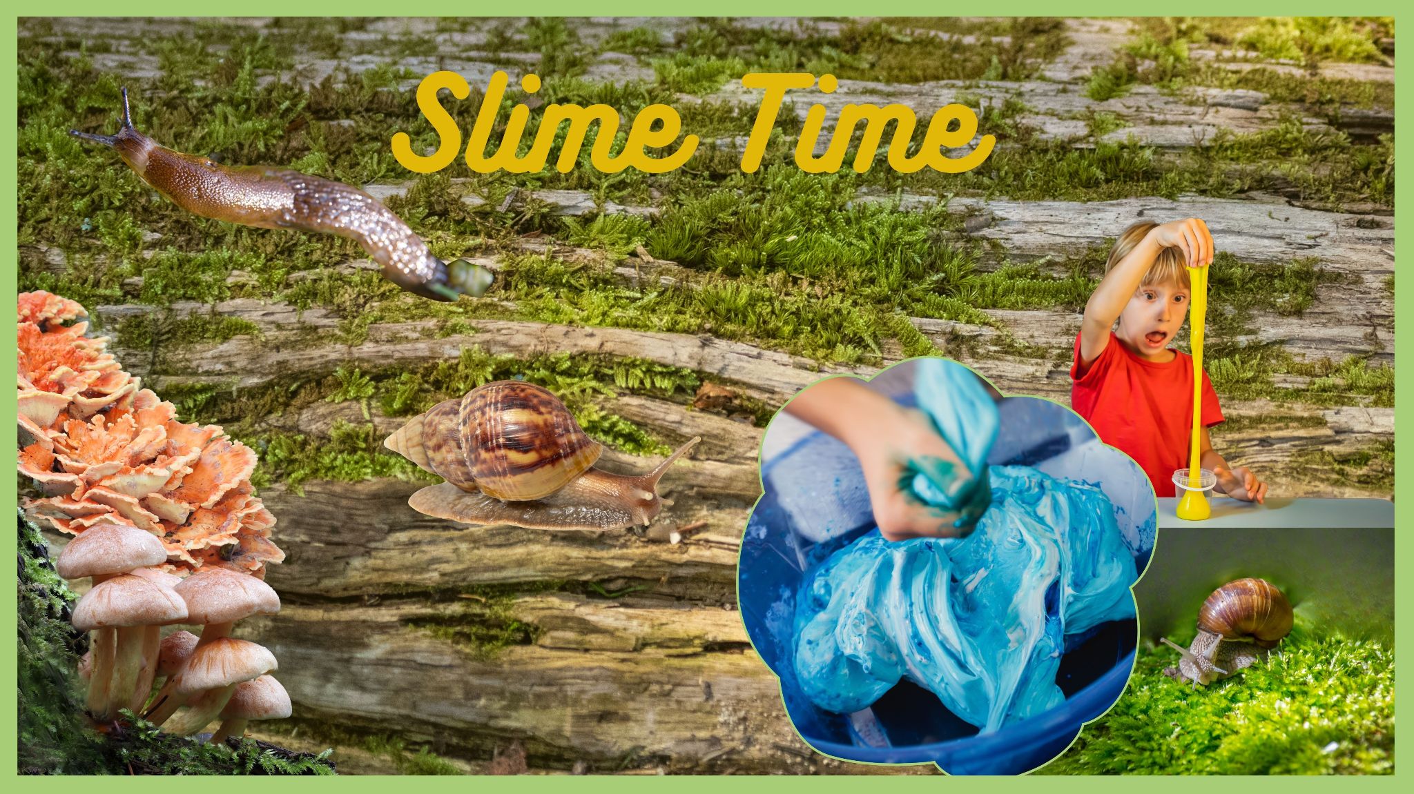 Week 9: Slime Time