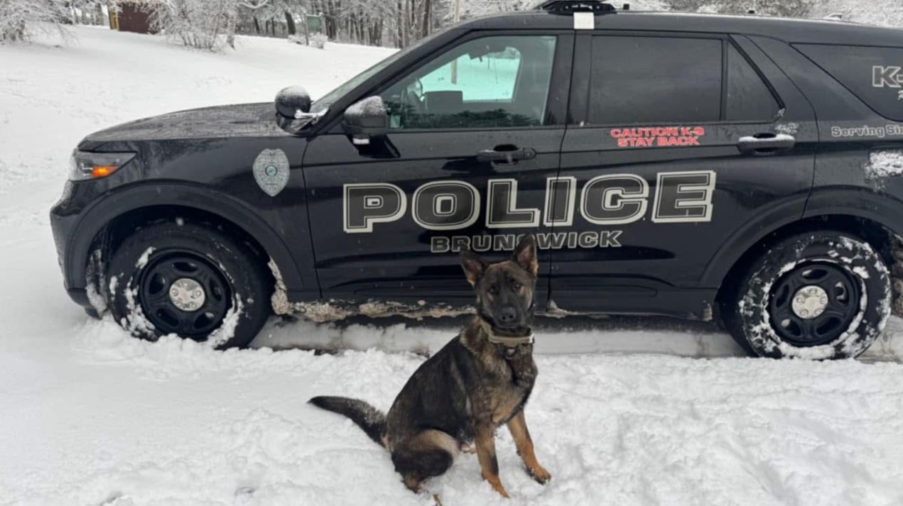 PROTECT K9 RIO WITH A BALLISTIC VEST