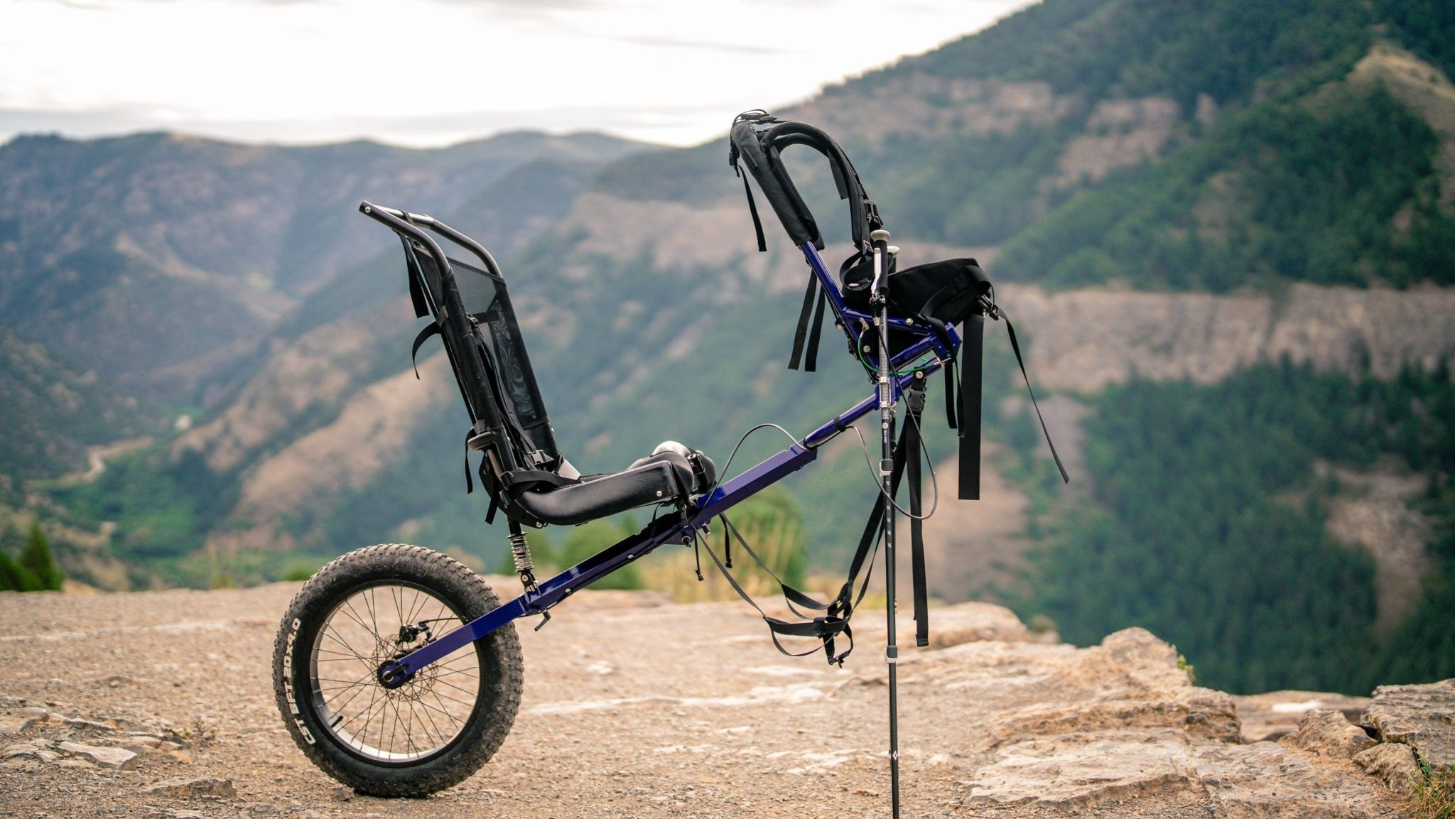 Getting Charlie into a Cascade Cart