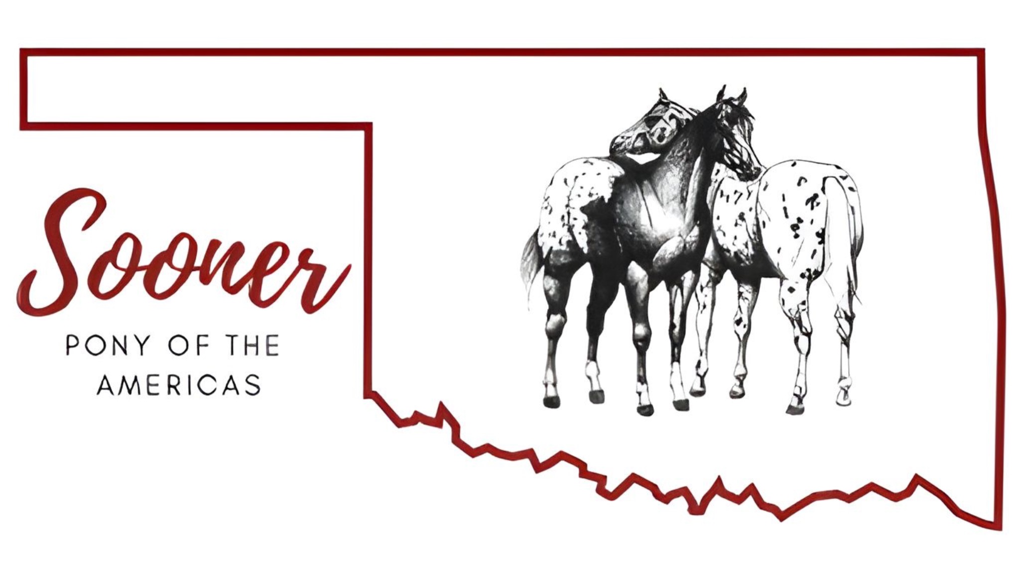 Sooner Pony of the Americas in Cherokee