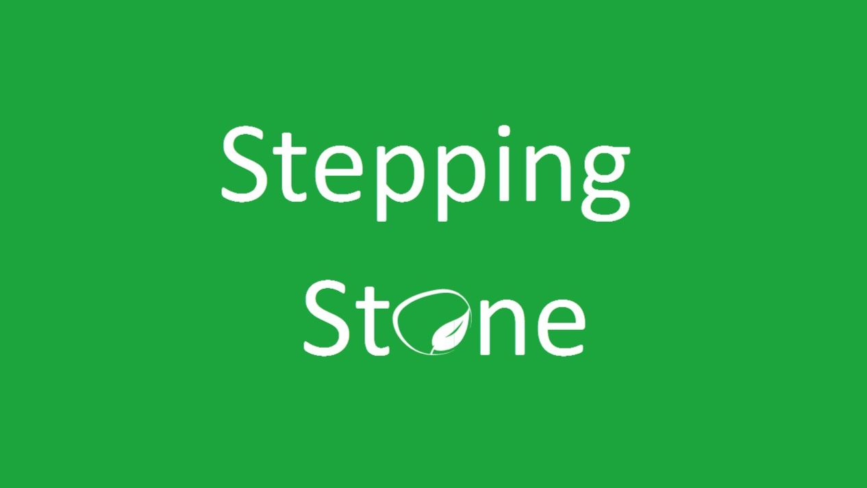 Stepping Stone, Inc. Annual Campaign