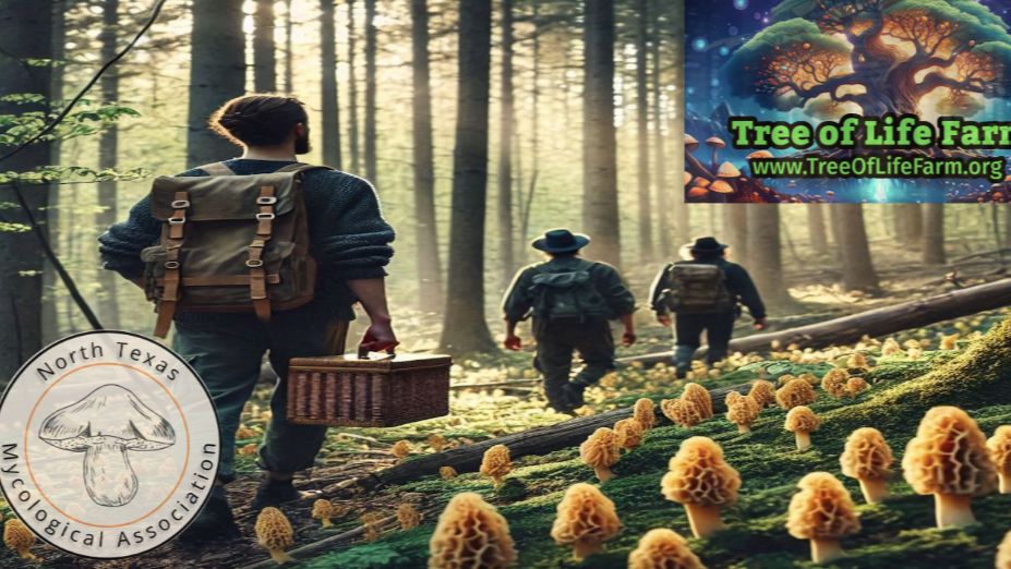 North Texas Morel Festival - MorelFest 2025 at the Tree of Life Farm