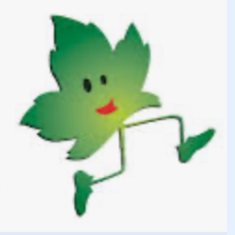 Maple Run 2025