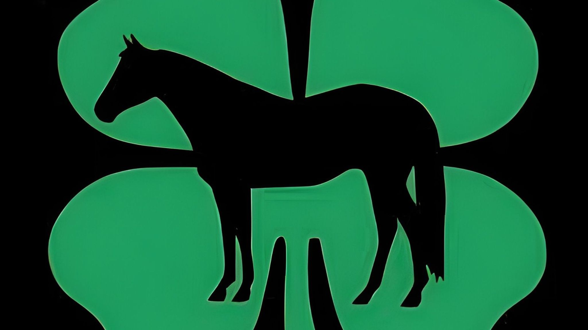 Help Head Heart & Hooves 4H club on their 2025 4H journey