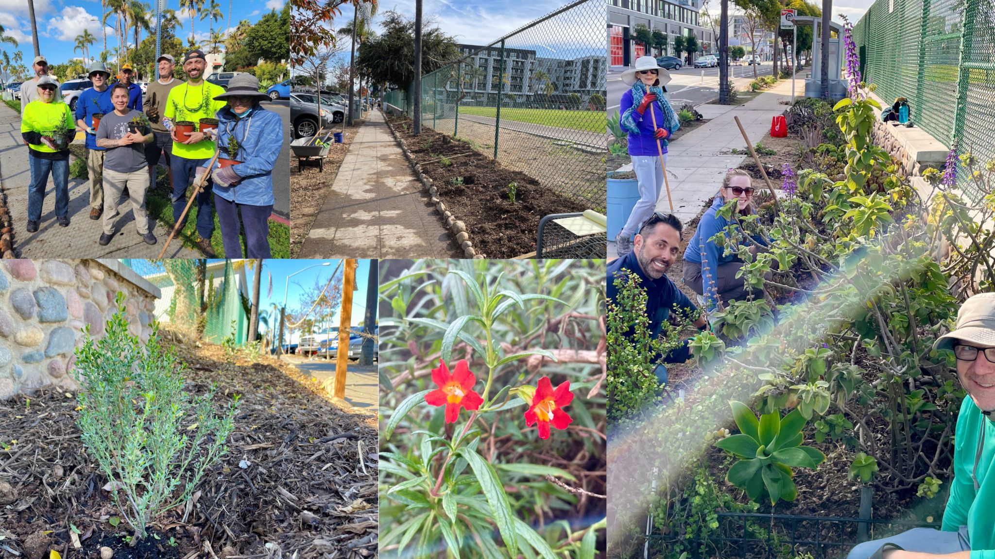 Native Plant Initiative
