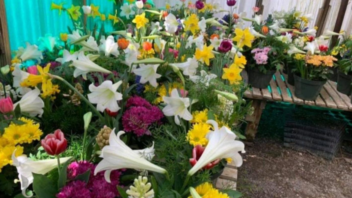 West Alexander Fair 2025 Easter Flower Sale