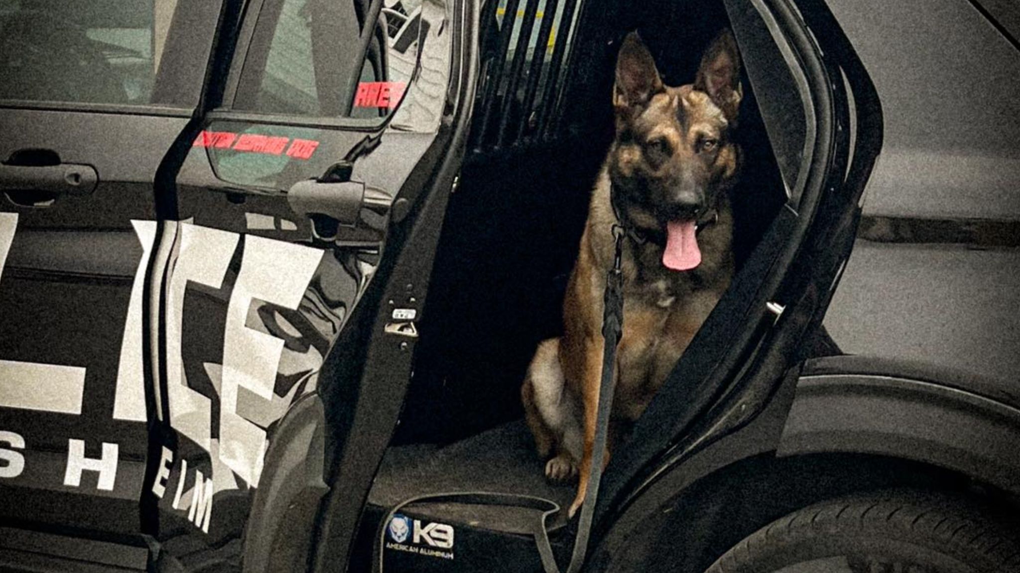 Help Vest K9 Ares from Mosheim Police Department