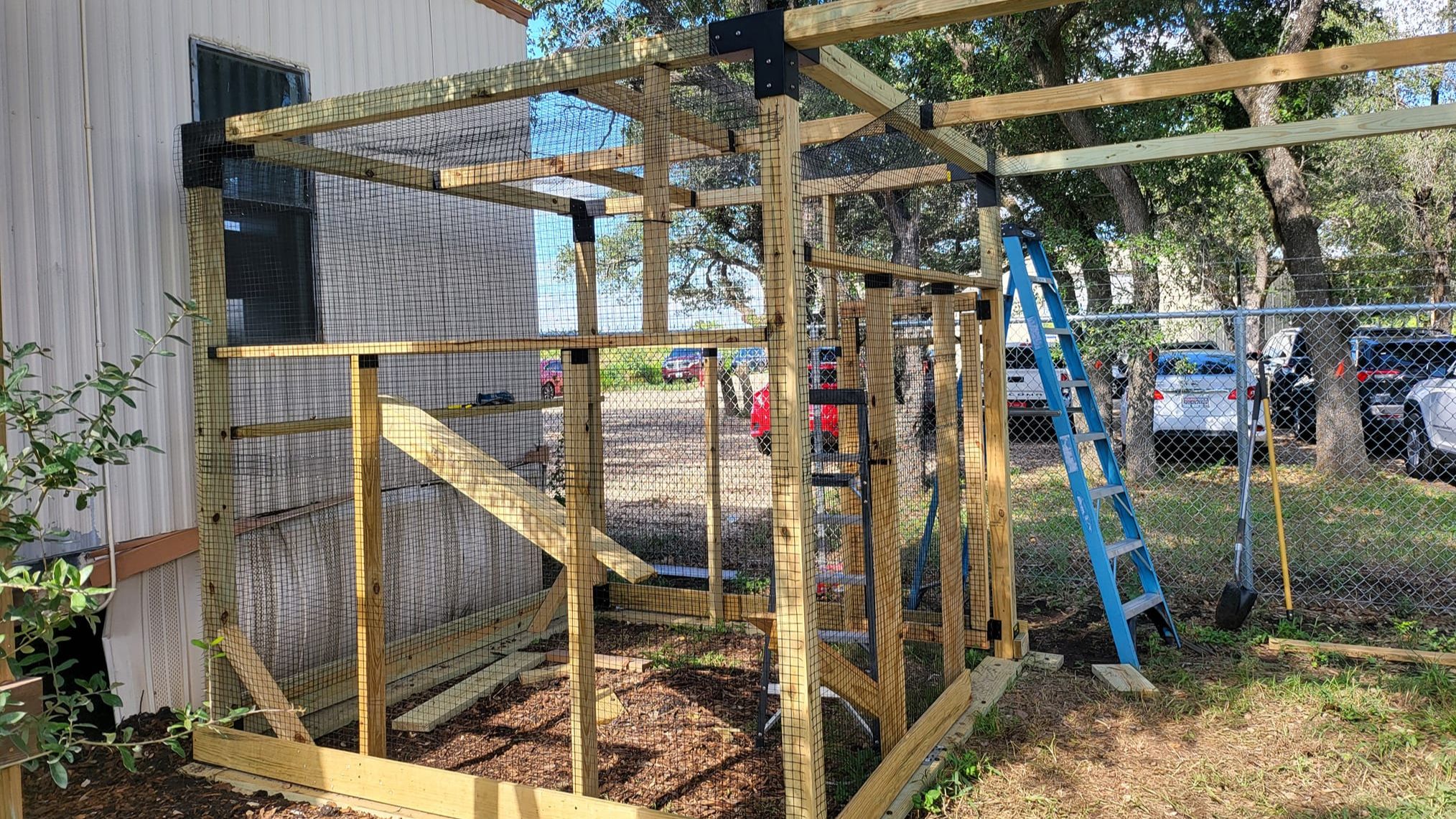 Ferallife Guards Catio Raffle 2025