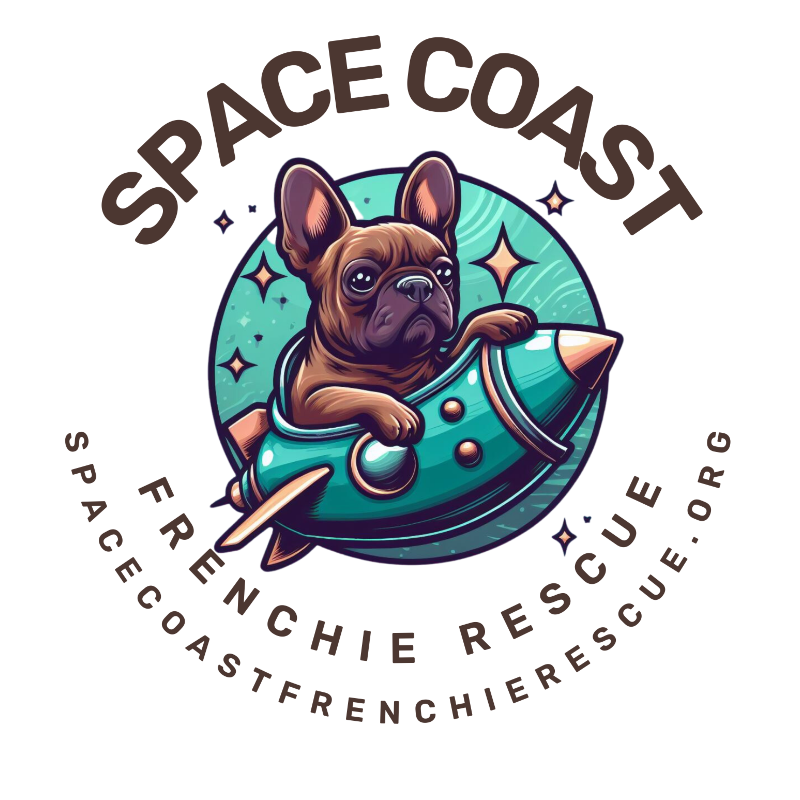 Space Coast Frenchie Rescue's shop