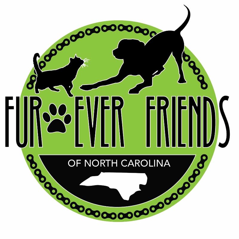 Donate to one of Fur-Ever Friends Programs - Select a program in the ...