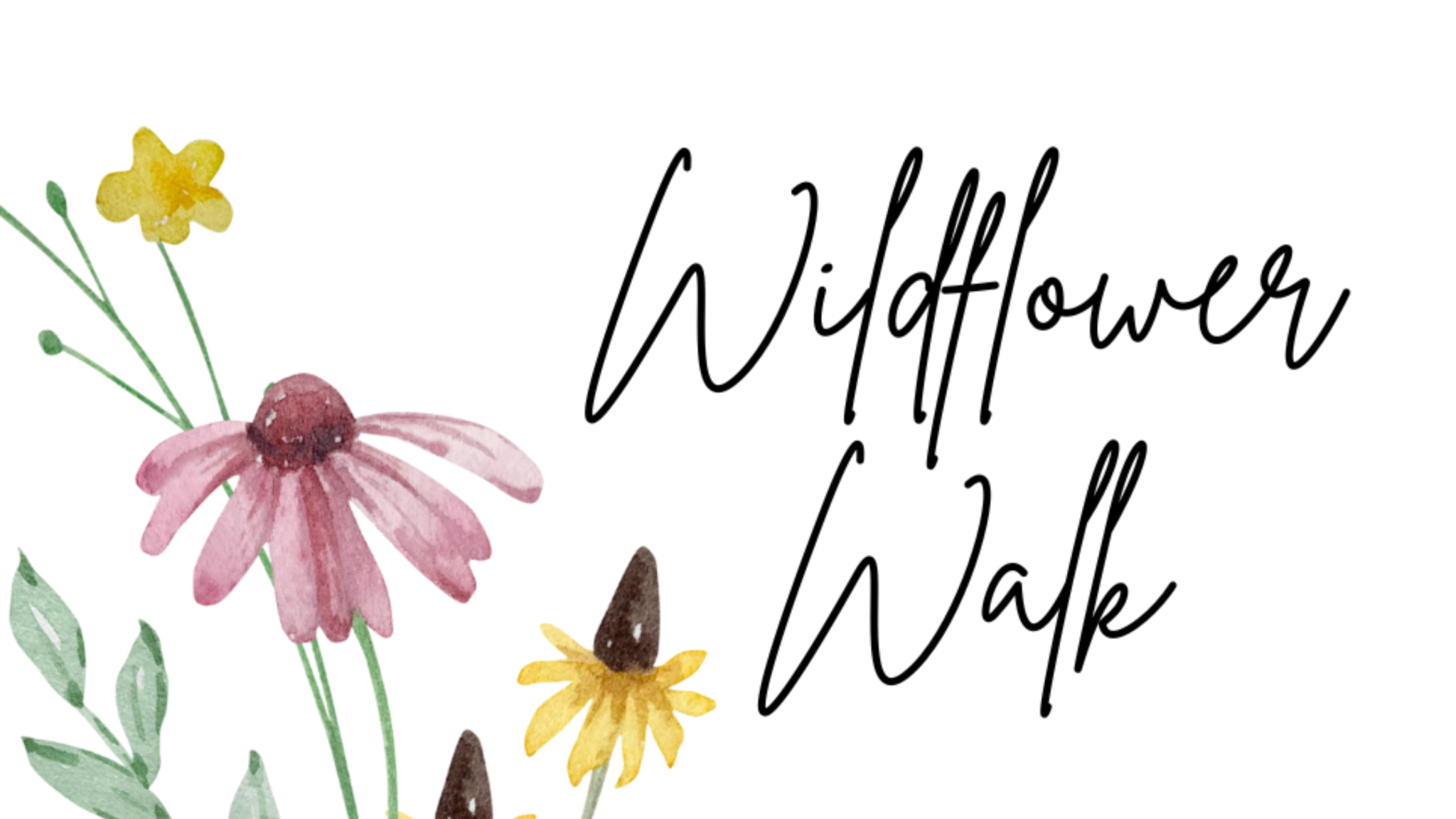 Spring Wildflower Walk