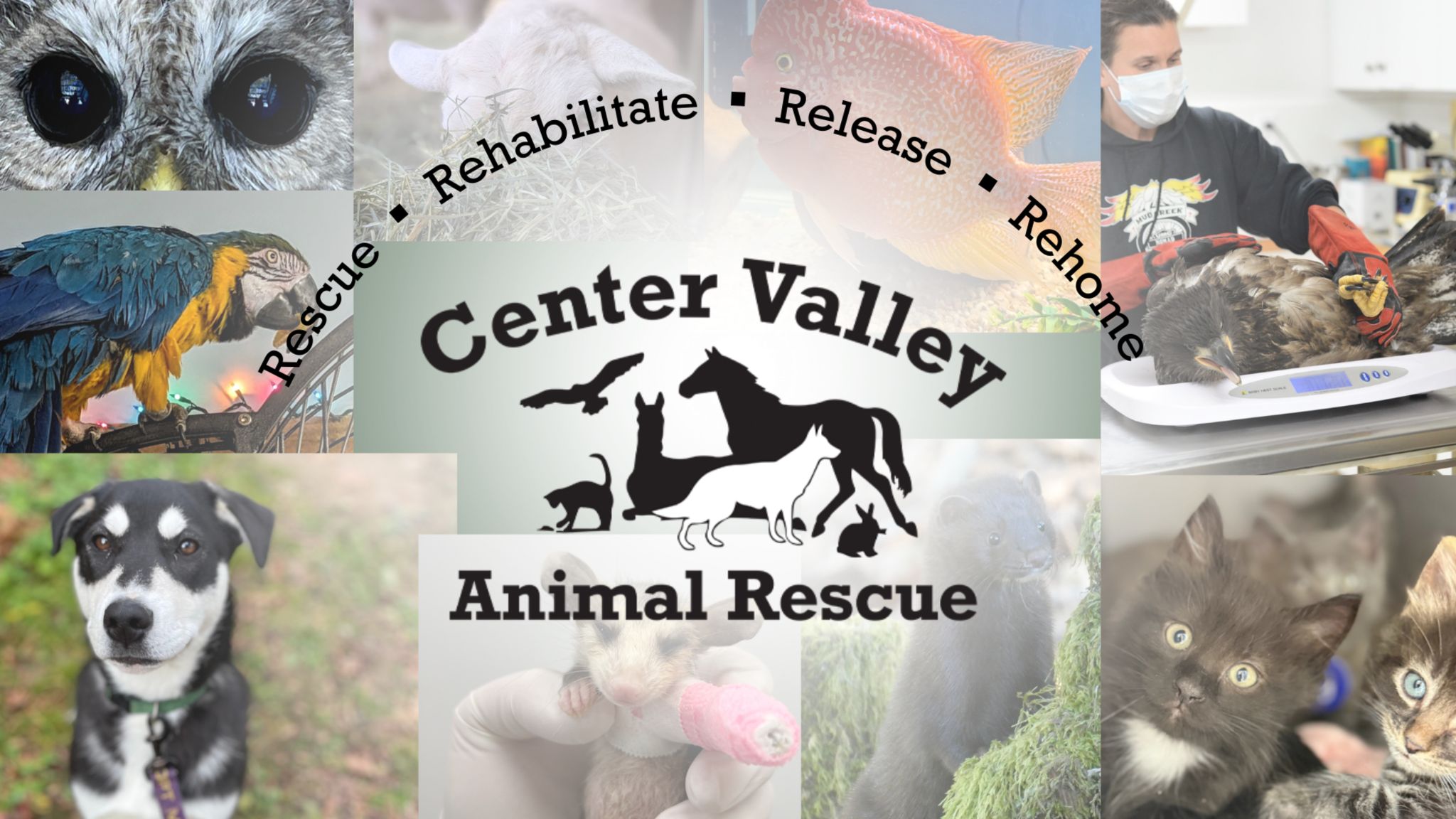 Center Valley Animal Rescue