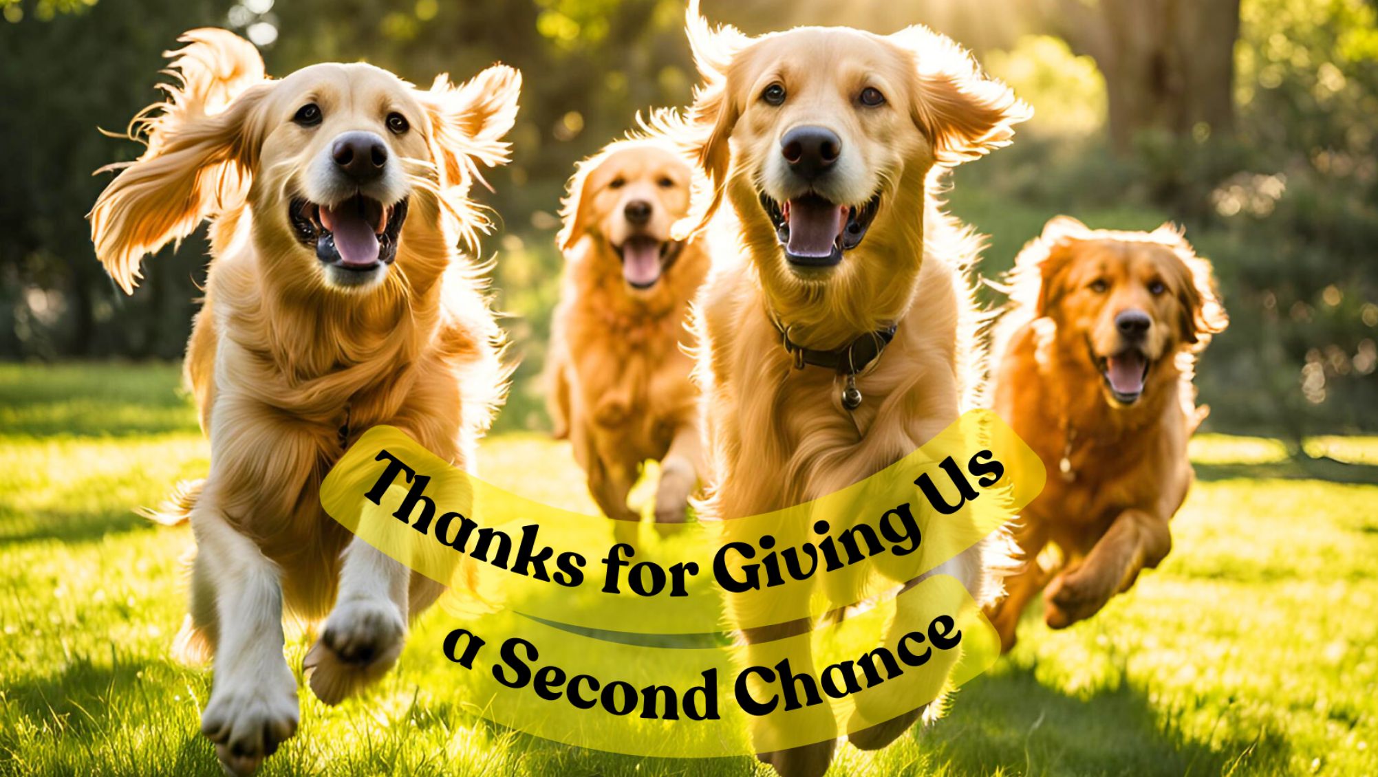 EVENTS: Misc Donations