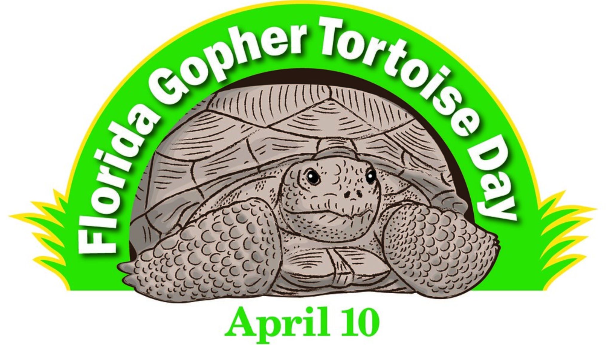 National Gopher Tortoise Day - MIWA Member Exclusive Field Trip