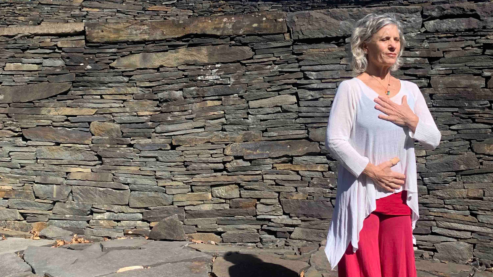 Qigong with Jill Ann Schwartz