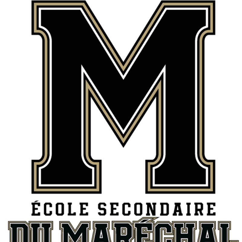 ESM - volleyball plus