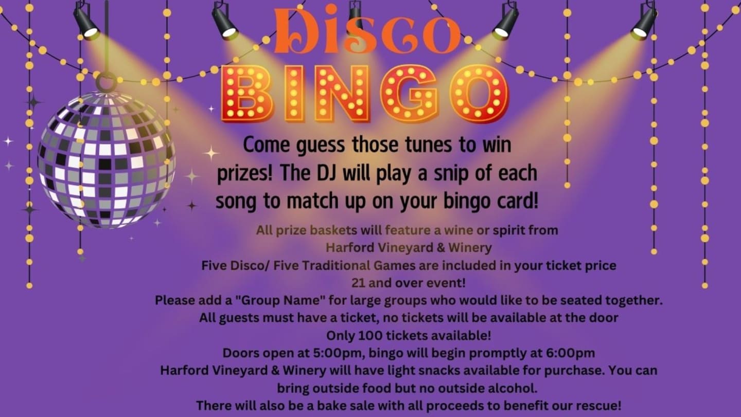 Disco Bingo at Harford Vineyard and Winery