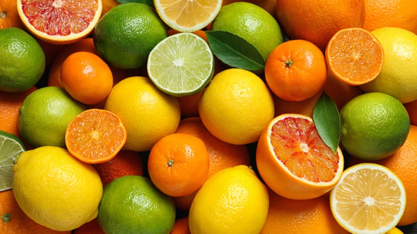 🍊2025 Advanced Citrus Grafting Workshop - Create Your Own Custom Citrus ...