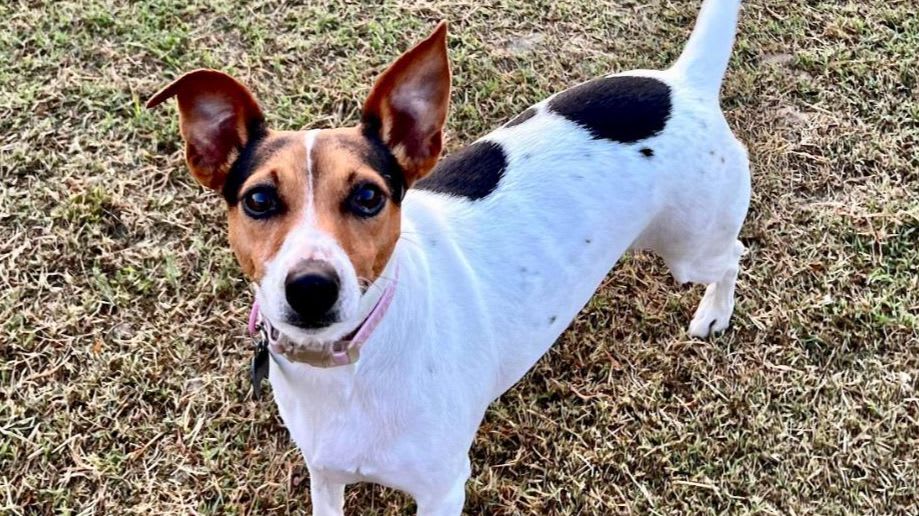 Donate to make a difference