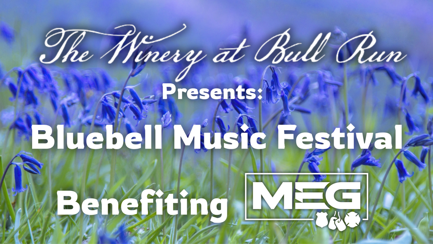 The Bluebell Music Festival Beats for Good