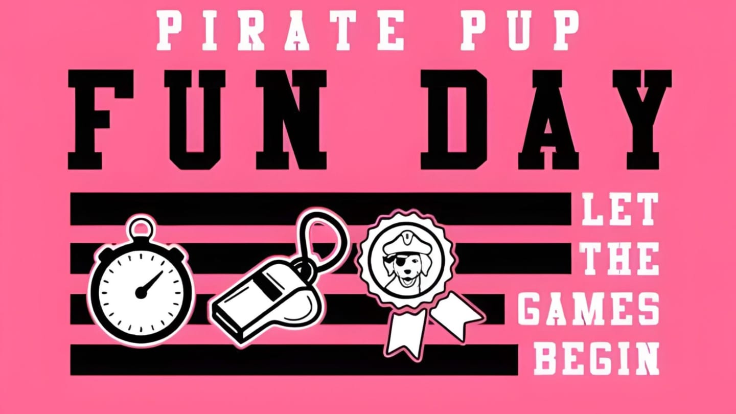 Hannah Cole Primary Fun Day 2025 Shirts