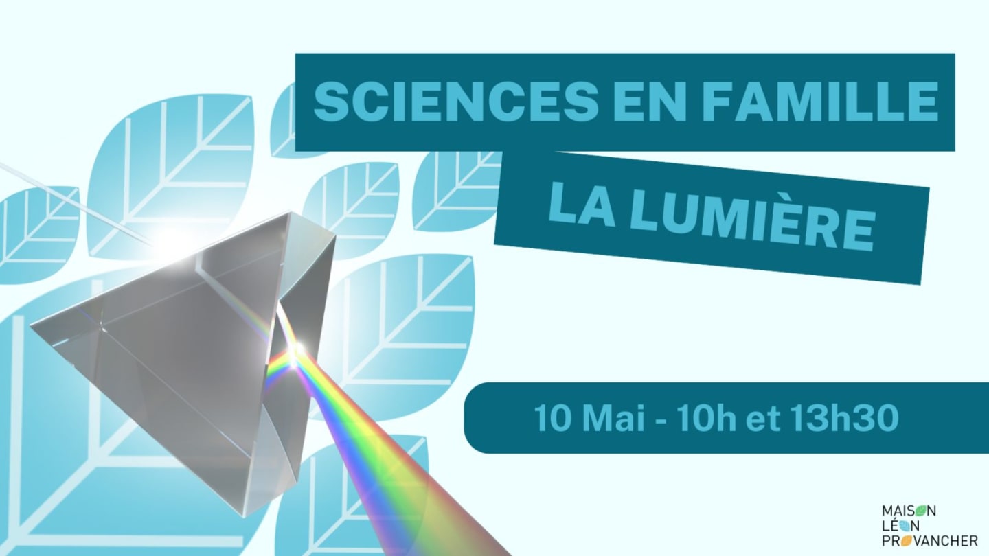 Sciences en famille La lumière