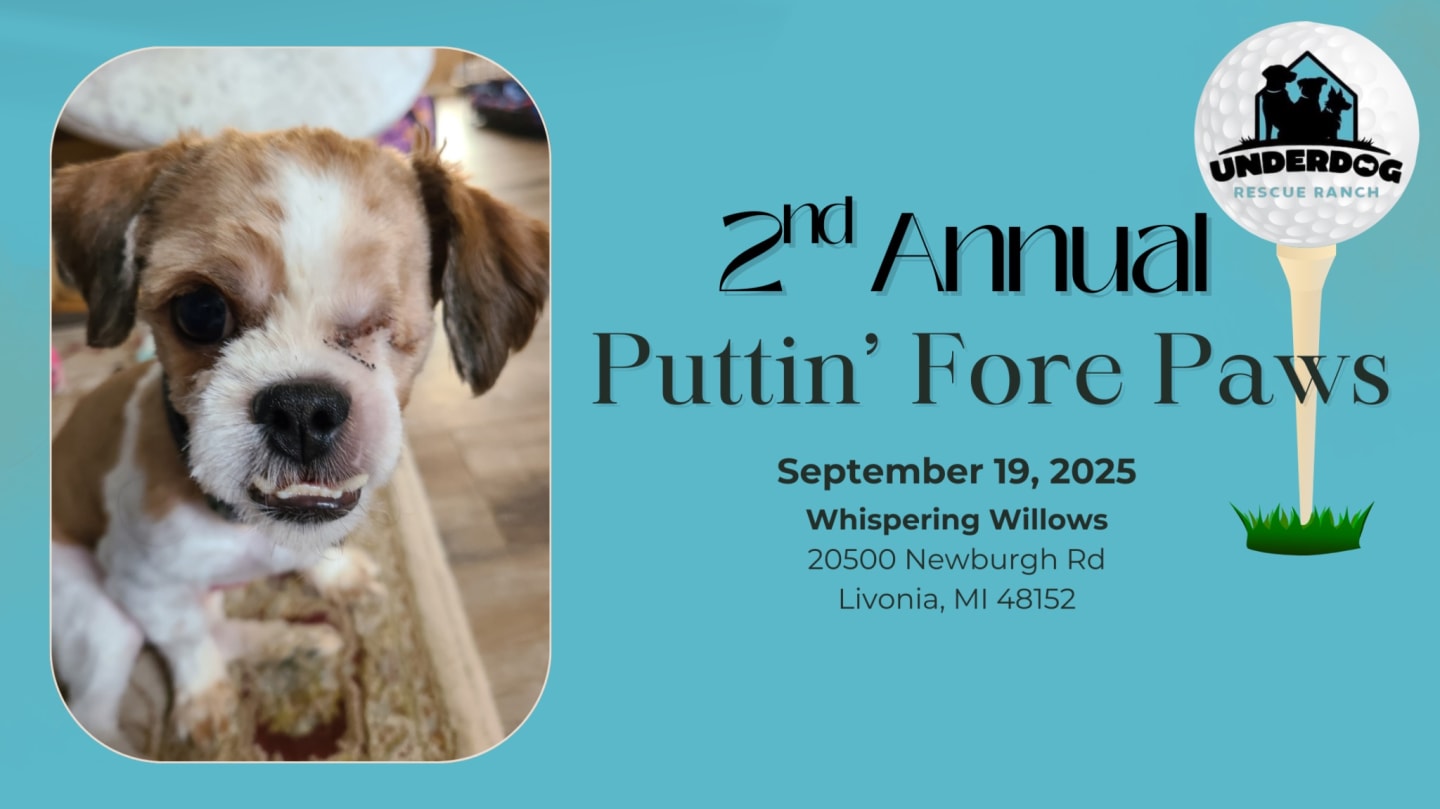 2nd Annual Puttin' Fore Paws Golf Outing