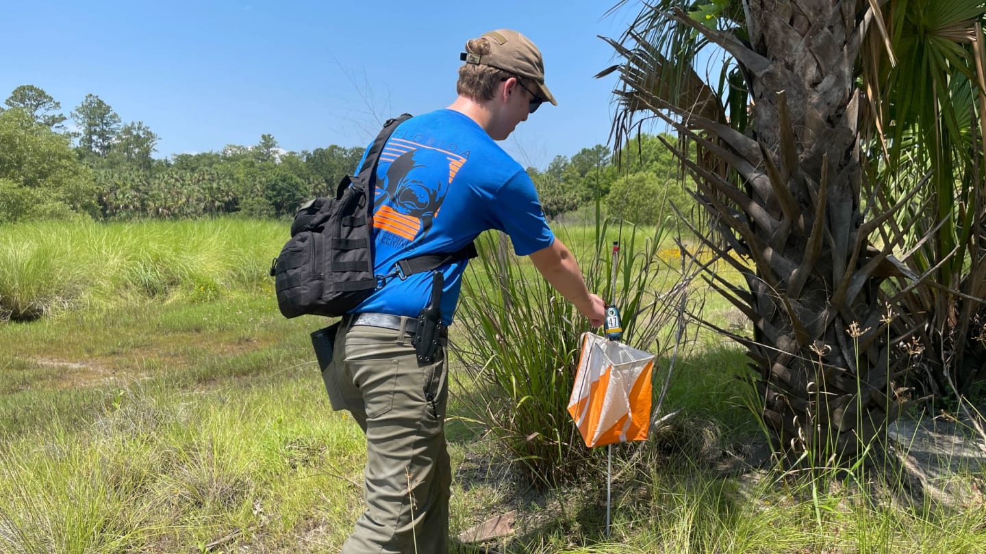 Florida Orienteering Memberships