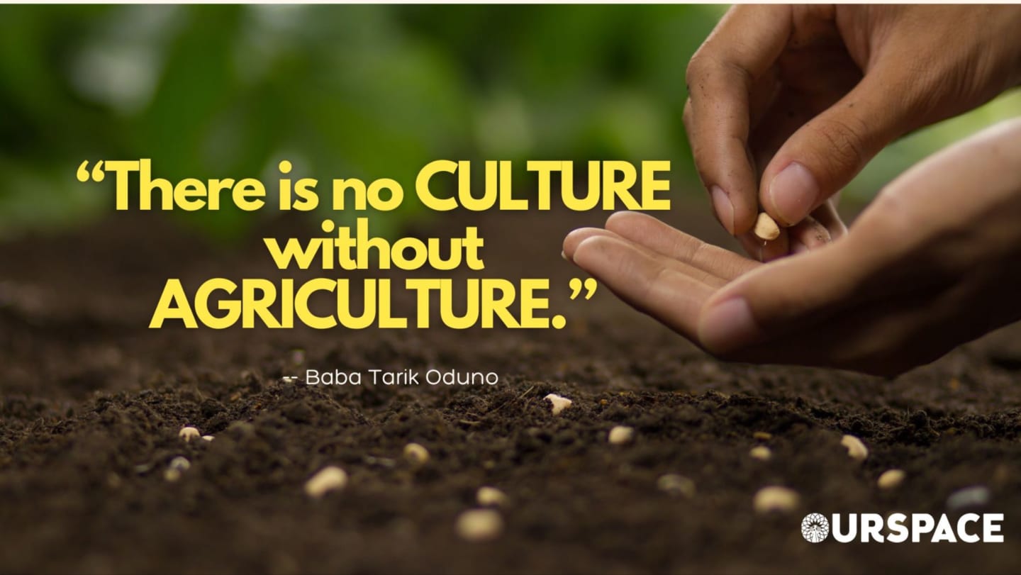 Donate with TeamCalabash to Support more Farmers!
