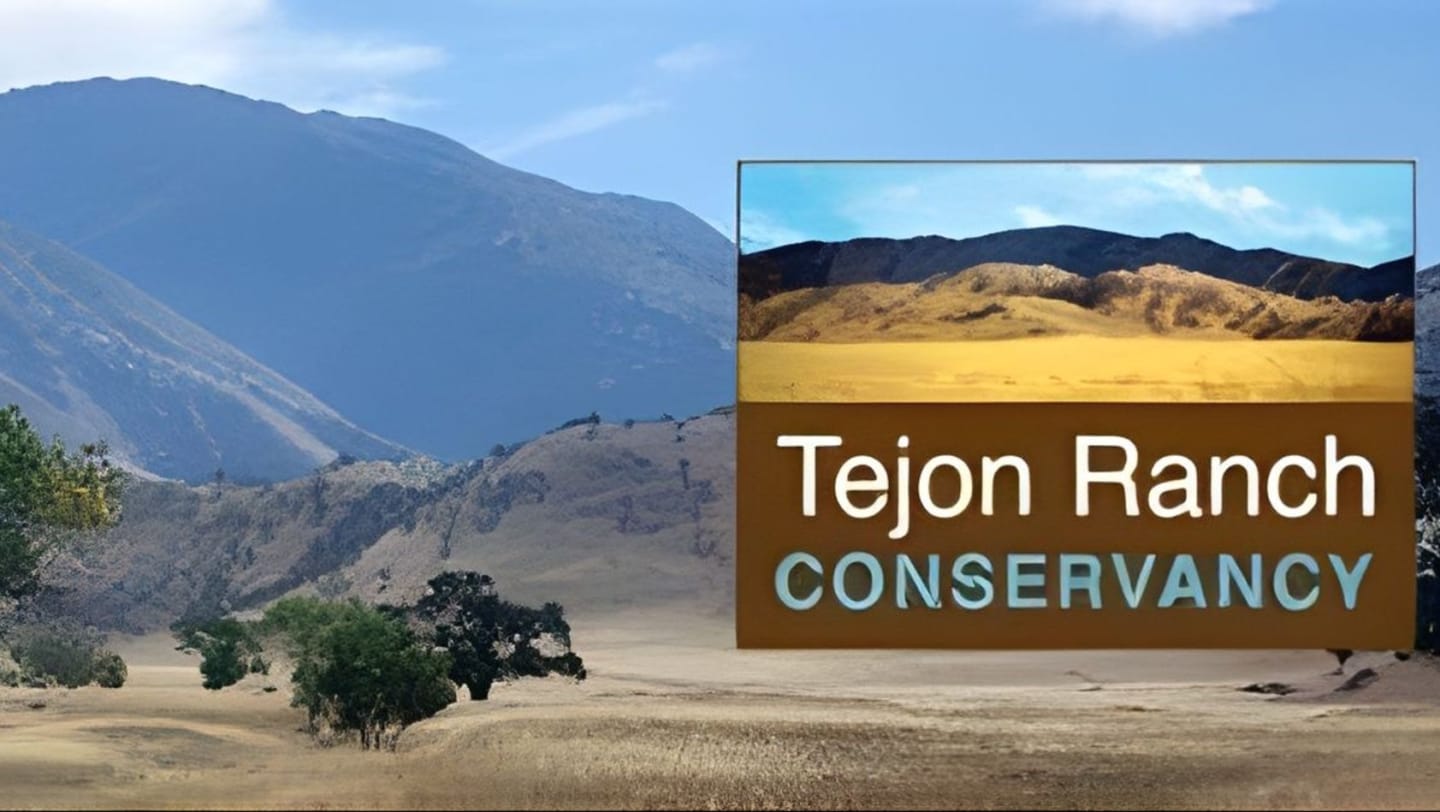 Tejon Ranch Hike/Tour