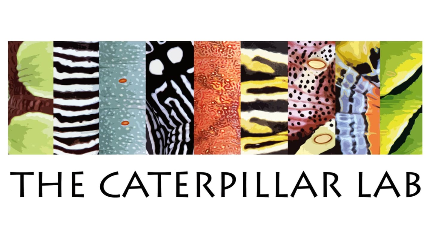 Donate to The Caterpillar Lab