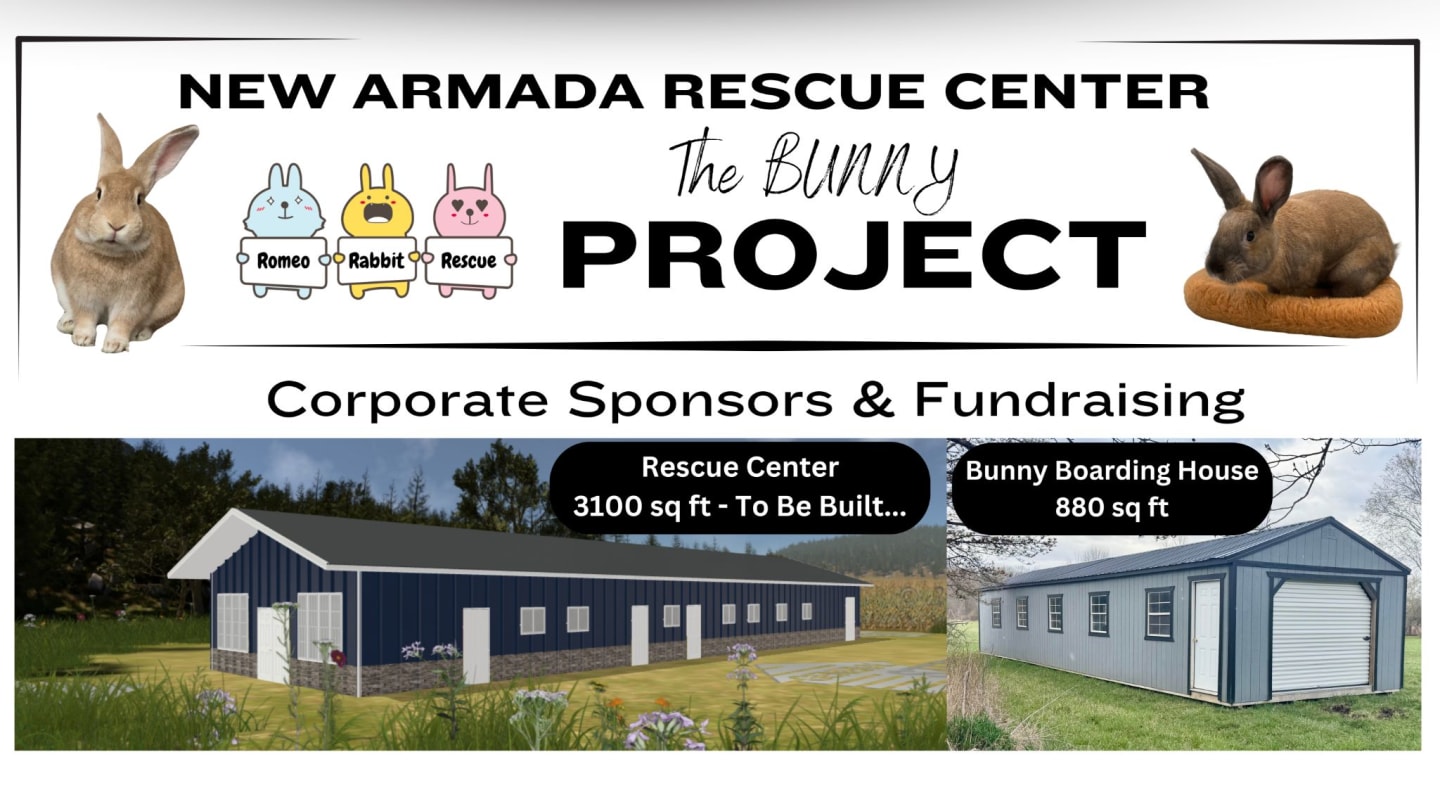 Help Romeo Rabbit Rescue Build a New Rescue Center in Armada, MI