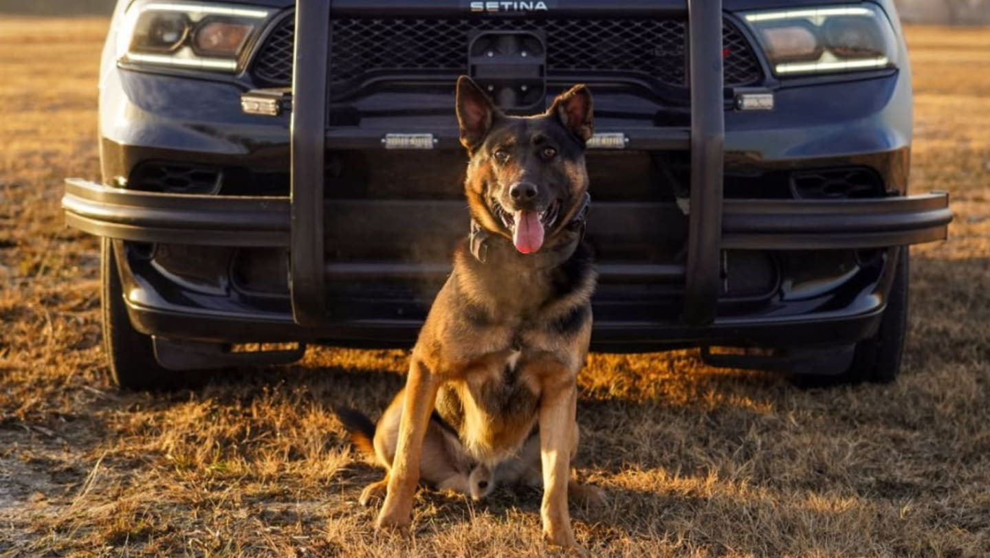 Help K9 Duke Get a Vest