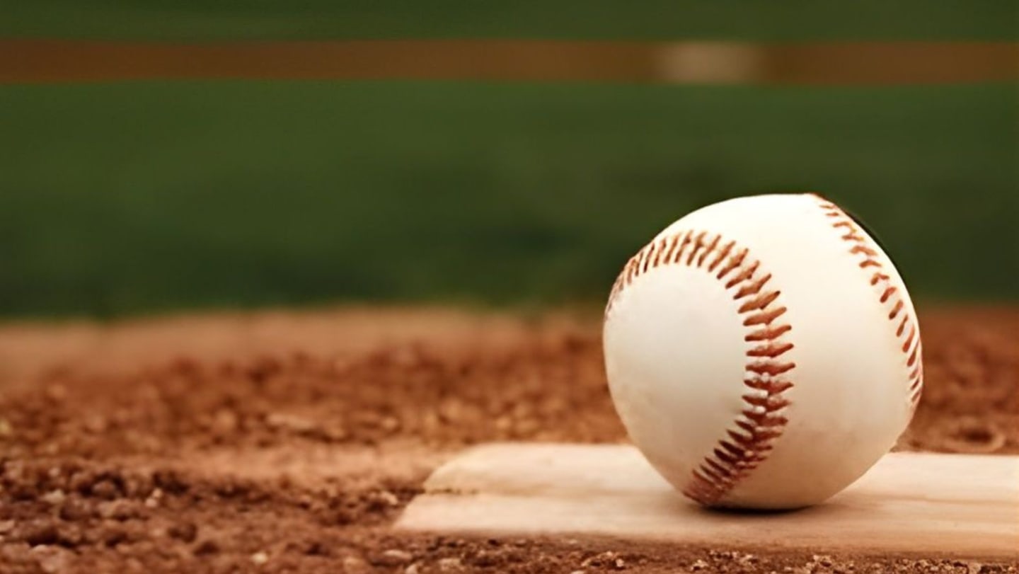 Hickory Crawdads Game (Rotary May Social)