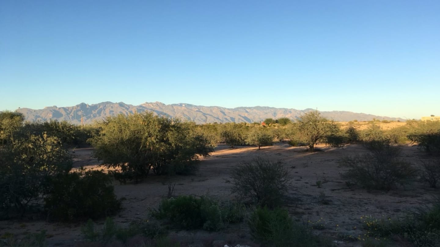 Lilly’s IRTF Border Witness to Arizona