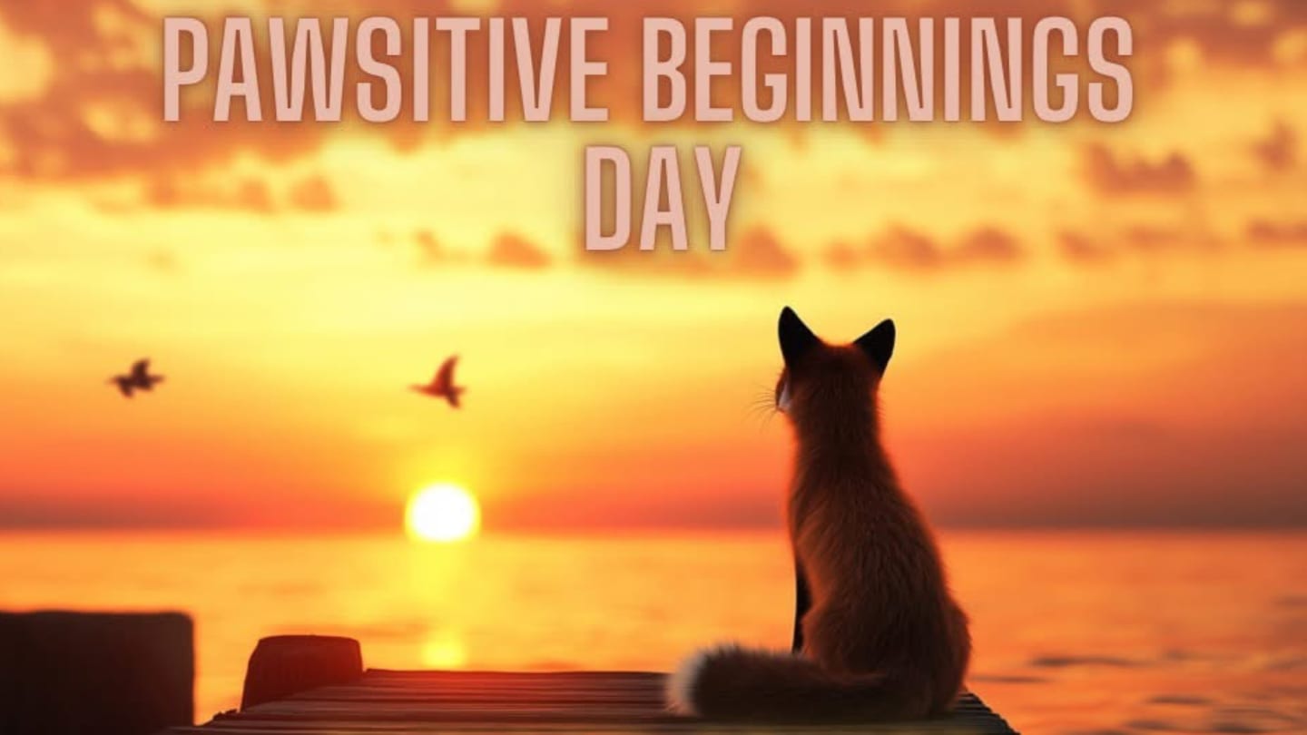 Pawsitive Beginnings Day Sunset Cruise