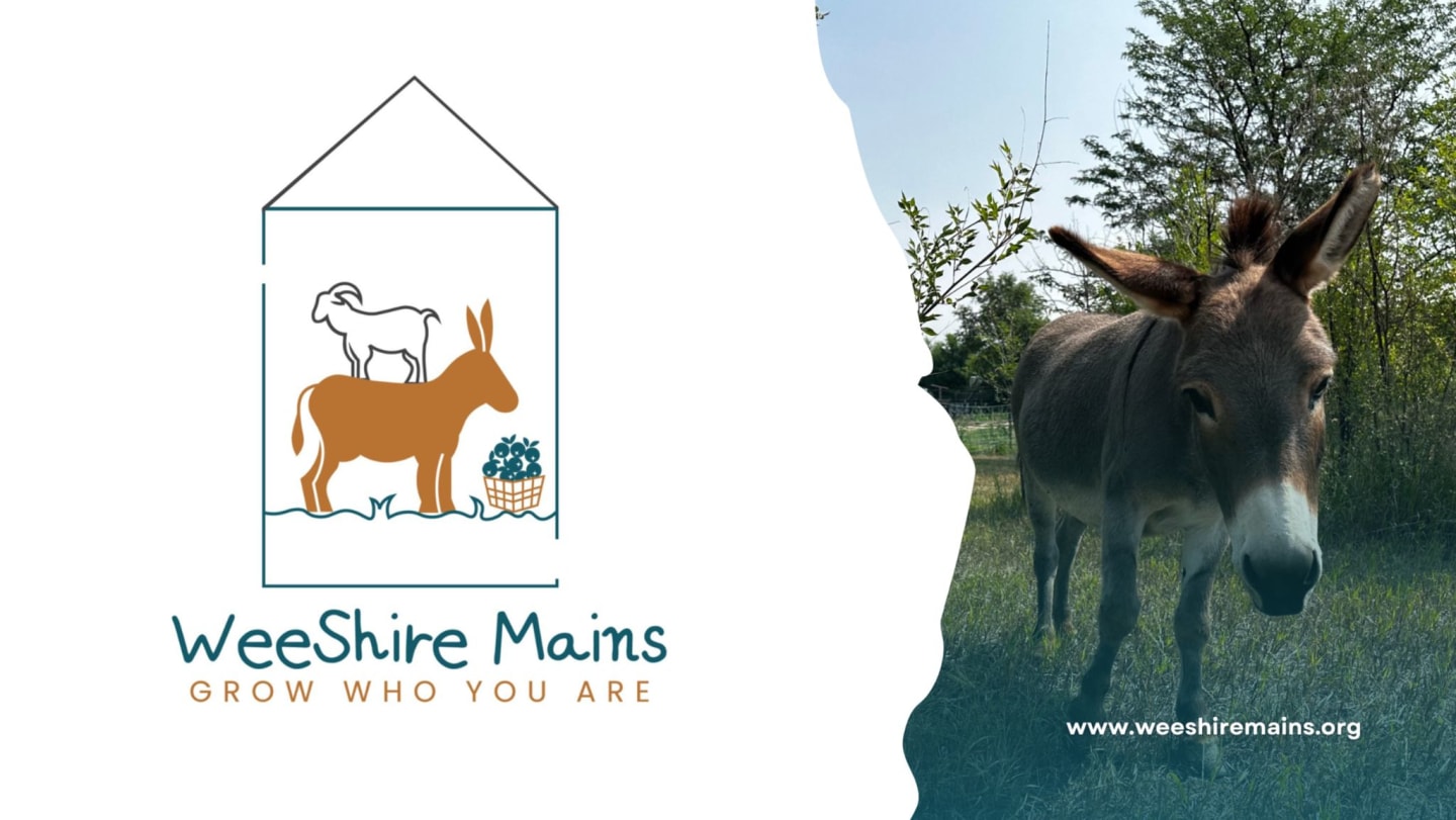 Donate to make a difference