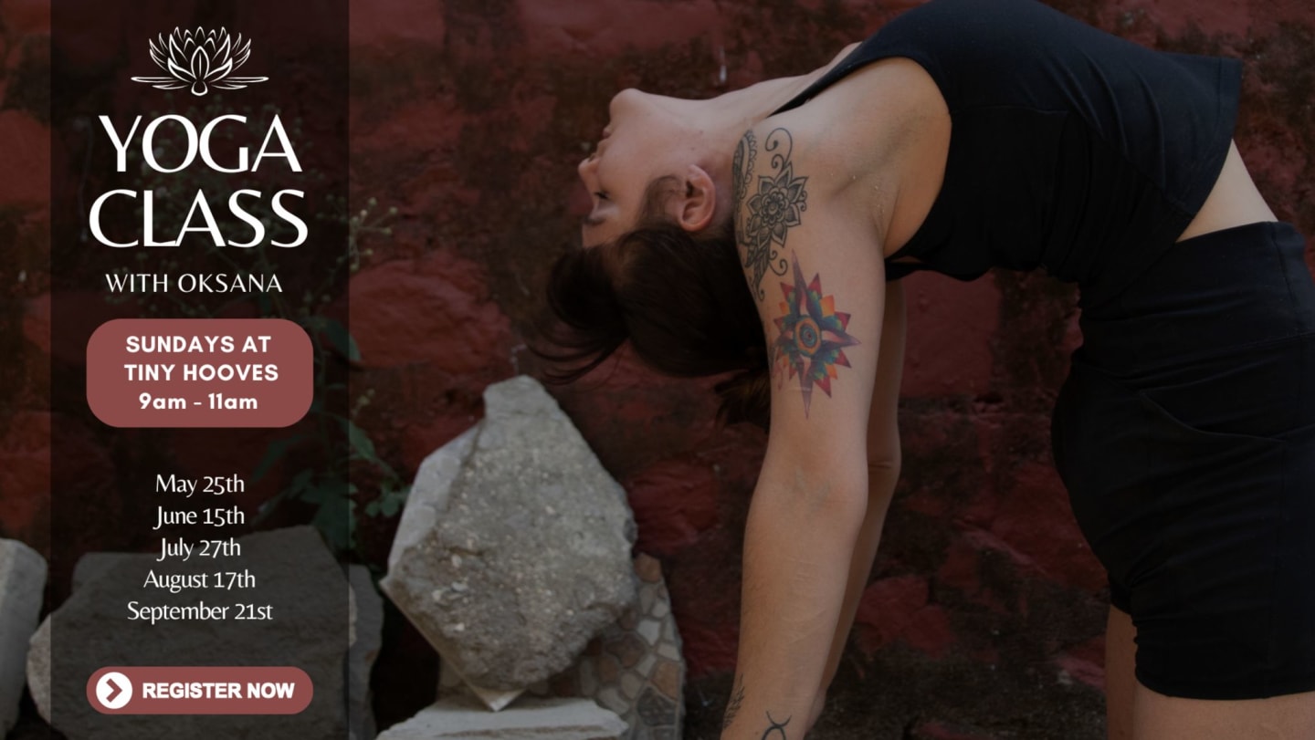 Yoga With Oksana at Tiny Hooves