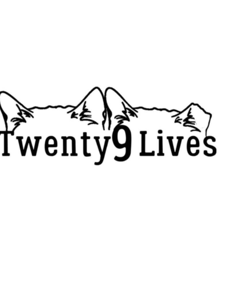 Twenty9 Lives Taco Basket Raffle