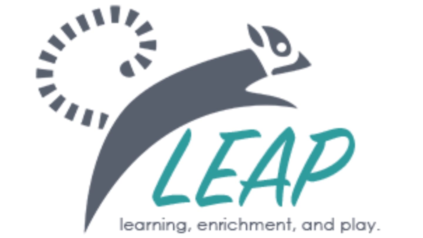 LEAP Summer Classes