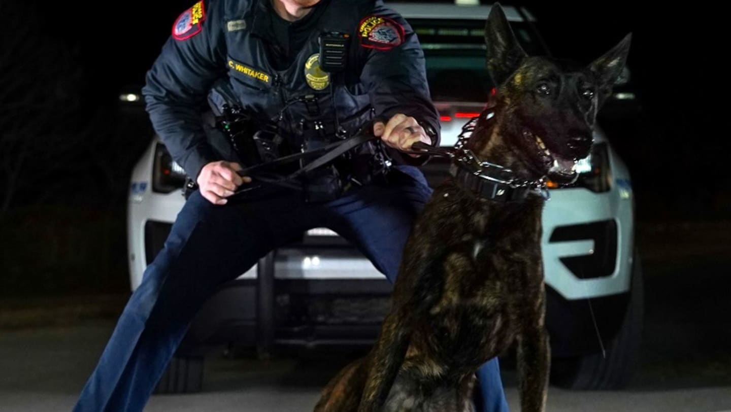 Help Vest K9 Cannon
