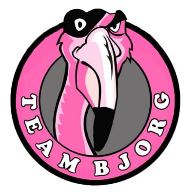 Team BJORG Whirlyball Banquet