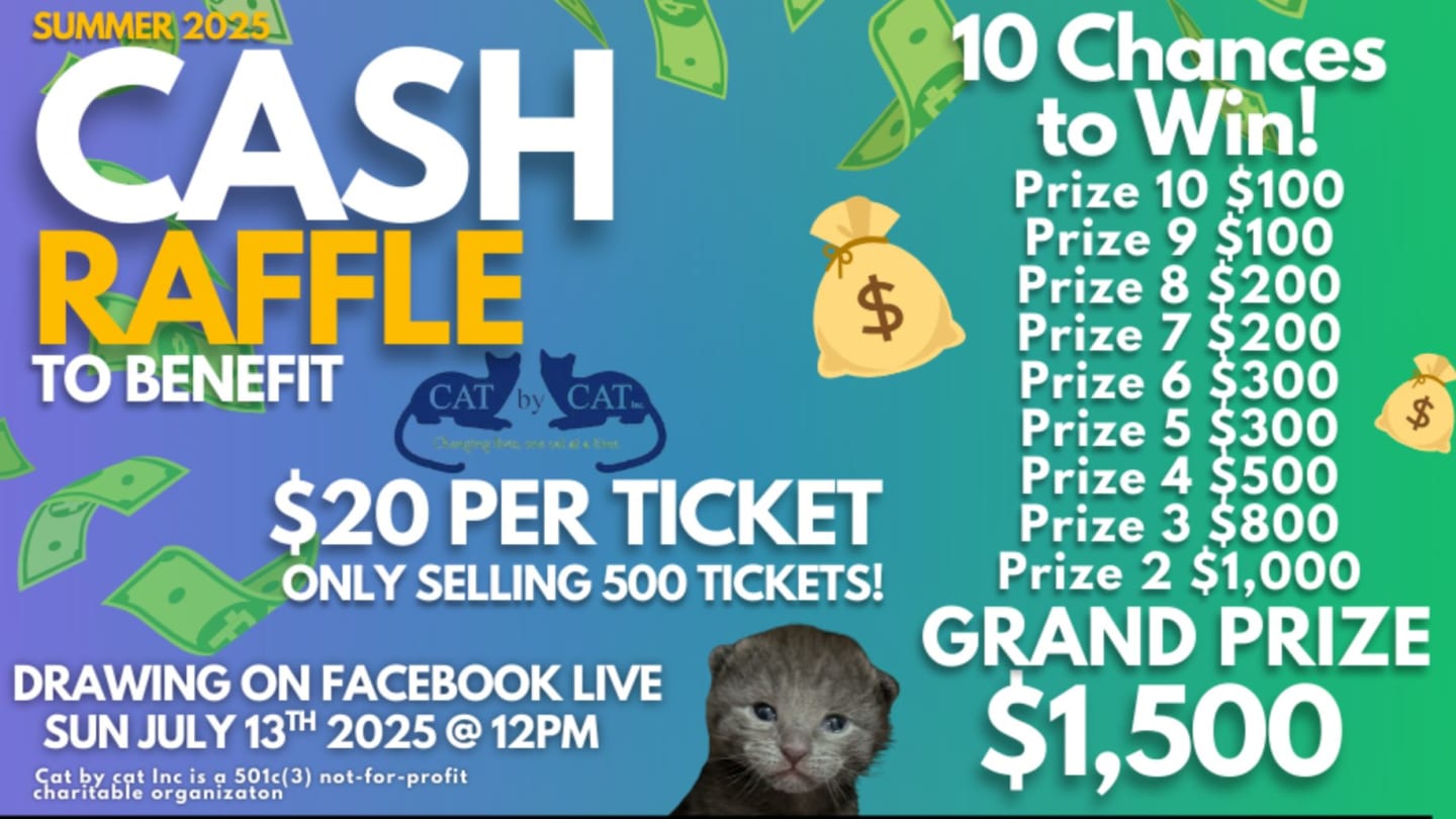Cat By Cat Inc's Annual Cash Raffle 2025