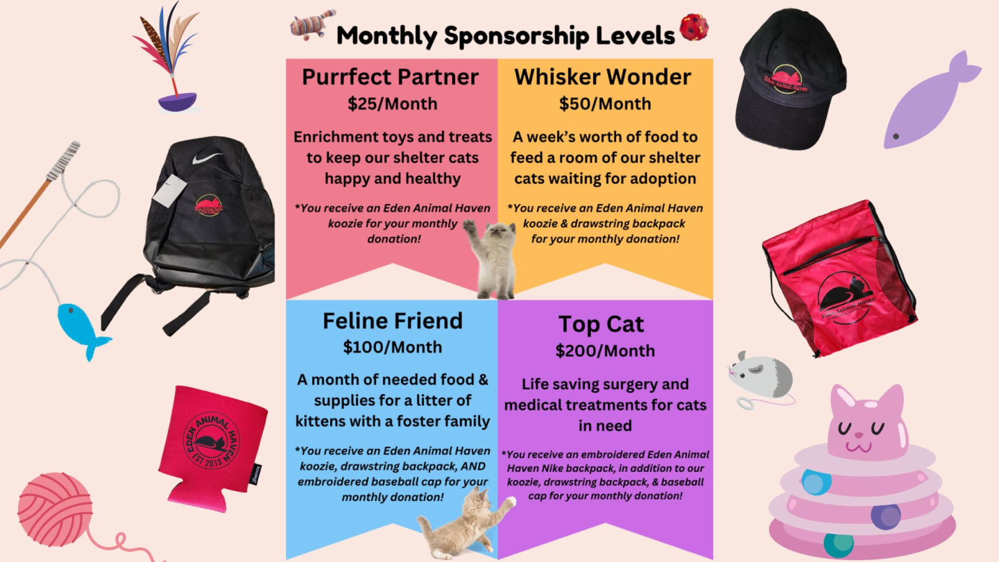 Sponsor a Cat - Change a Life, Every month