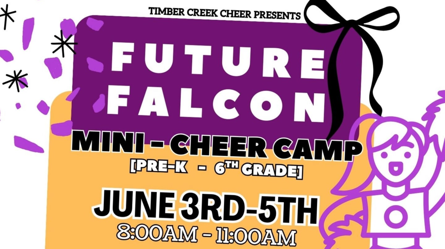 Future Falcons Mini - Cheer Camp 2025