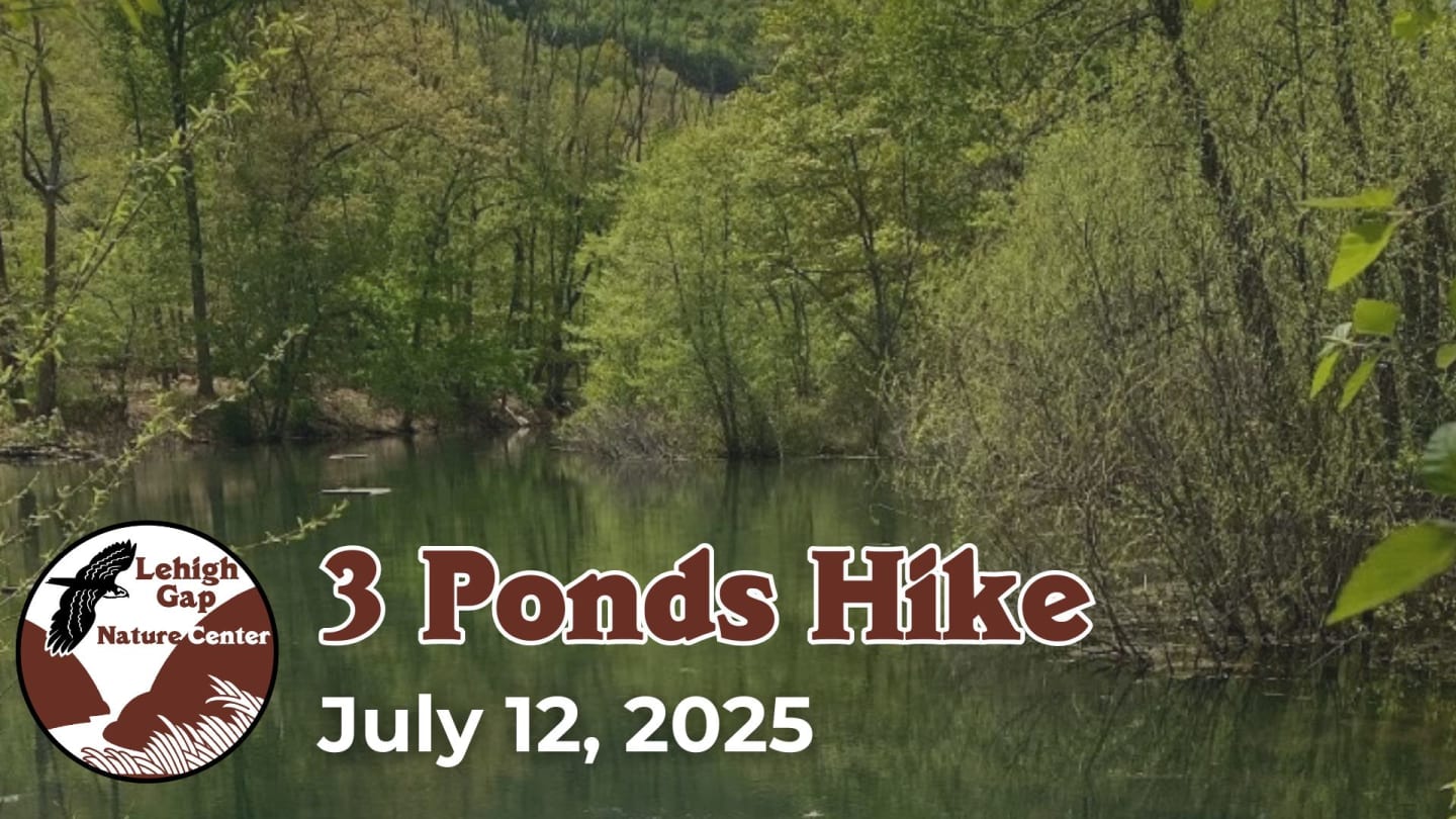 3 Ponds Hike with Dan Kunkle