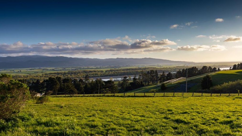 Tribal CalAIM Roundtable and Northwest PATH CPI Collaborative